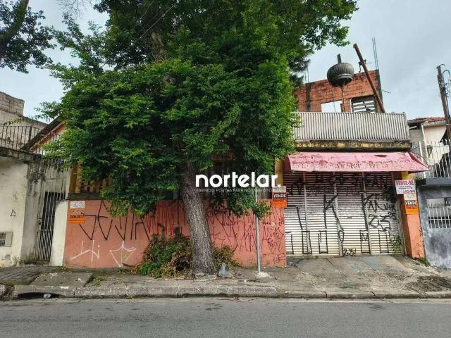 Terreno / Lote para Venda em São Paulo/SP Vila Pirituba