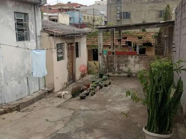 Terreno / Lote para Venda em São Paulo/SP Vila Ponte Rasa