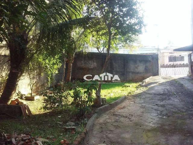 Terreno / Lote para Venda em São Paulo/SP Vila Primavera