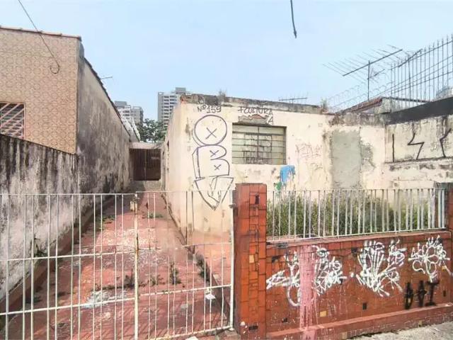 Terreno / Lote para Venda em São Paulo/SP Vila Prudente