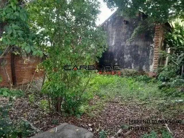 Terreno / Lote para Venda em São Paulo/SP Vila Prudente