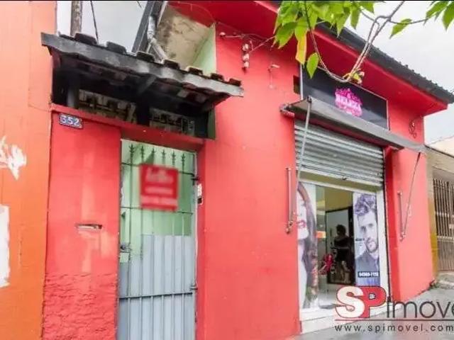 Terreno / Lote para Venda em São Paulo/SP Vila Prudente