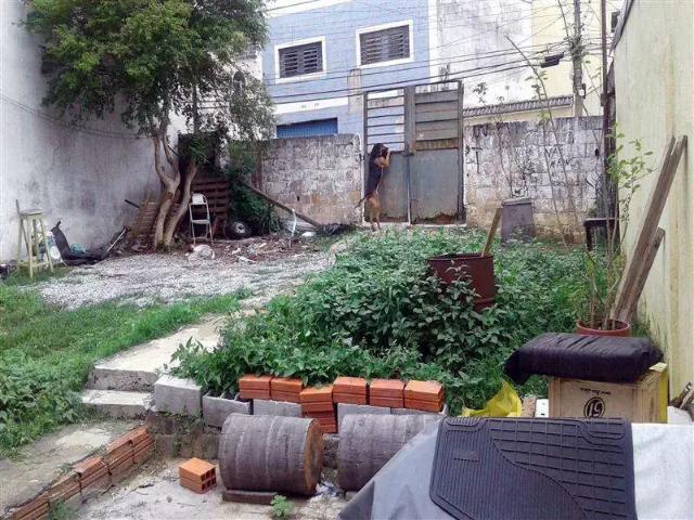 Terreno / Lote para Venda em São Paulo/SP Vila Ré