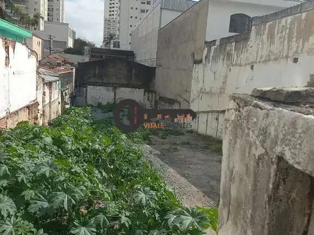Terreno / Lote para Venda em São Paulo/SP Vila Regente Feijó