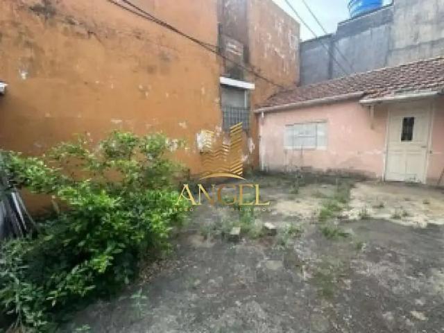 Terreno / Lote para Venda em São Paulo/SP Vila Regente Feijó