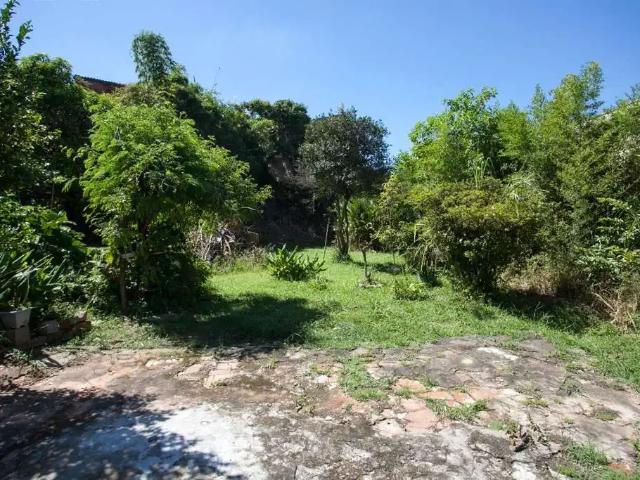 Terreno / Lote para Venda em São Paulo/SP Vila Renato Zona Norte