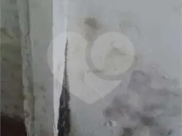 Terreno / Lote para Venda em São Paulo/SP Vila Romana 1 Quartos