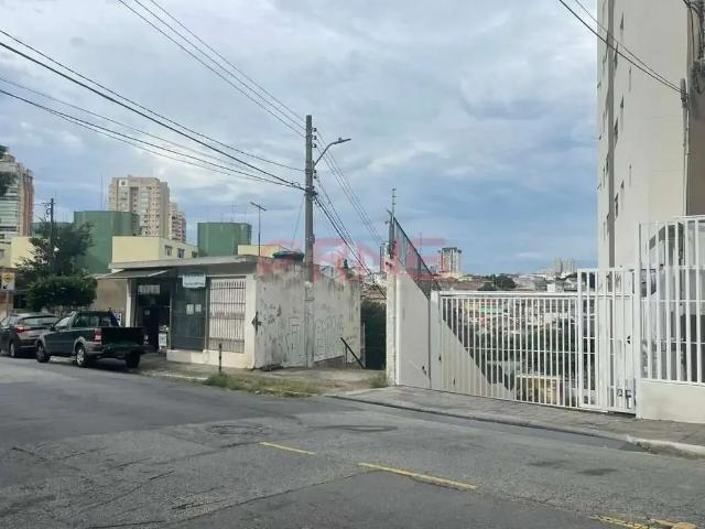 Terreno / Lote para Venda em São Paulo/SP Vila Romero