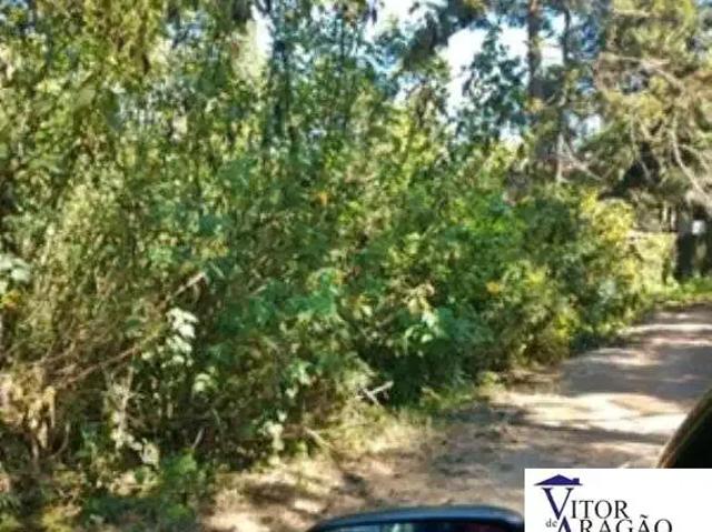 Terreno / Lote para Venda em São Paulo/SP Vila Roseira II