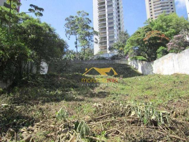 Terreno / Lote para Venda em São Paulo/SP Vila Suzana