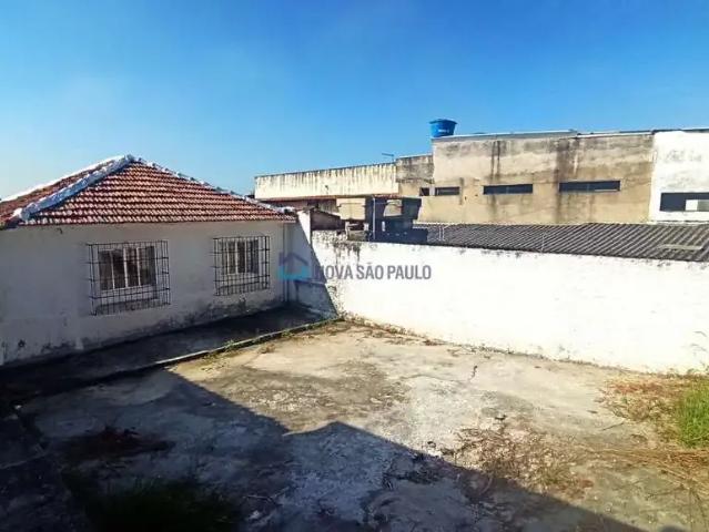 Terreno / Lote para Venda em São Paulo/SP Vila Santa Catarina