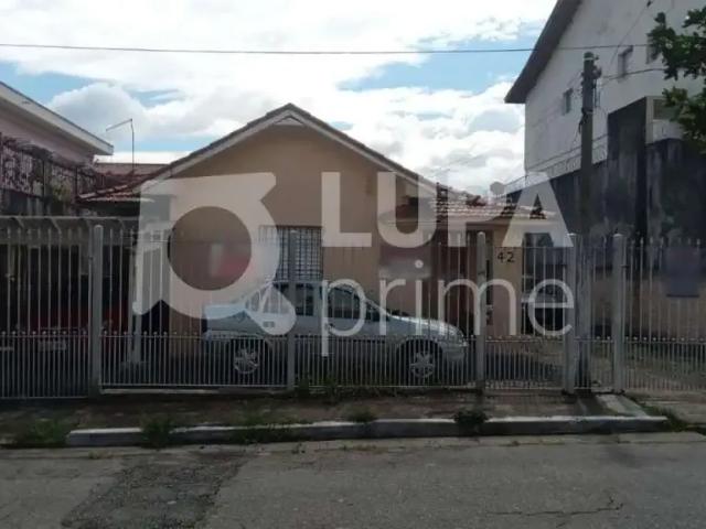 Terreno / Lote para Venda em São Paulo/SP Vila Santa Terezinha Zona Norte