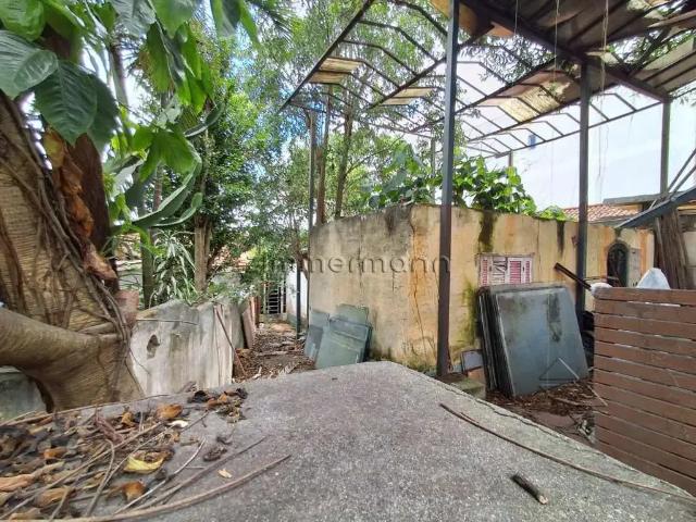 Terreno / Lote para Venda em São Paulo/SP Vila Sônia