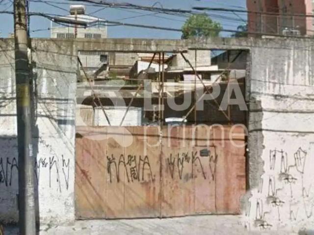 Terreno / Lote para Venda em São Paulo/SP Vila Vitório Mazzei