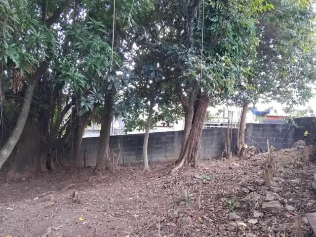 Terreno / Lote para Venda em São Paulo/SP Vila Zat