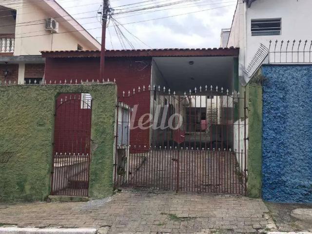 Terreno / Lote para Venda em São Paulo/SP Vila Zelina