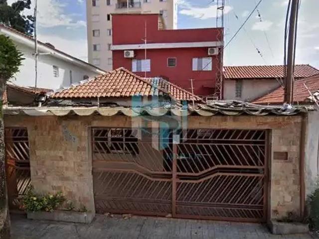 Terreno / Lote para Venda em São Paulo/SP Vila Zelina