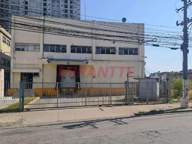 Terreno / Lote para Venda em São Paulo/SP Água Branca
