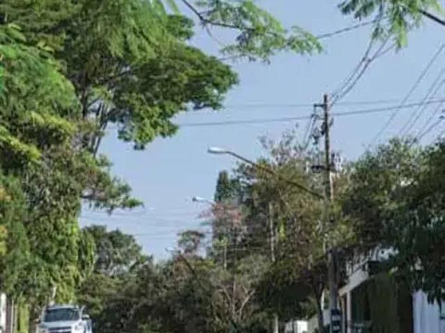 Terreno / Lote para Venda em São Paulo/SP Alto da Boa Vista