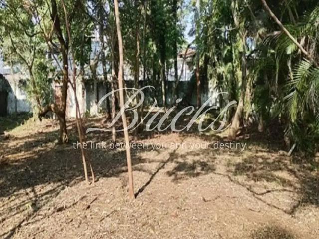 Terreno / Lote para Venda em São Paulo/SP Alto da Boa Vista