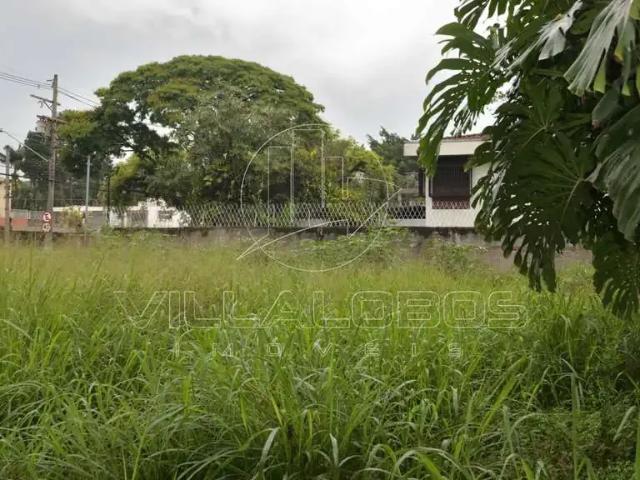 Terreno / Lote para Venda em São Paulo/SP Alto de Pinheiros