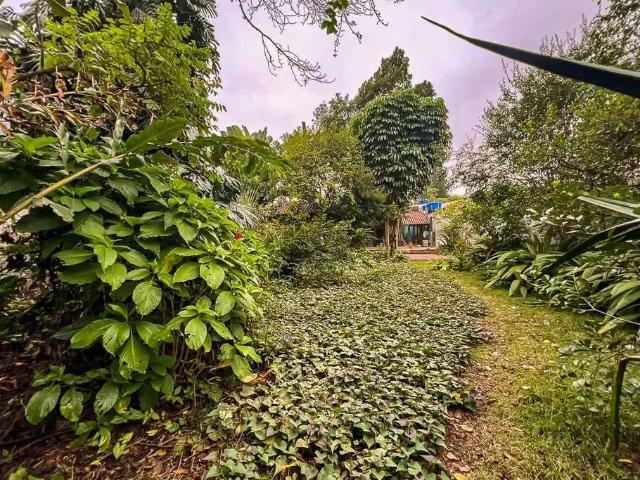 Terreno / Lote para Venda em São Paulo/SP Alto de Pinheiros