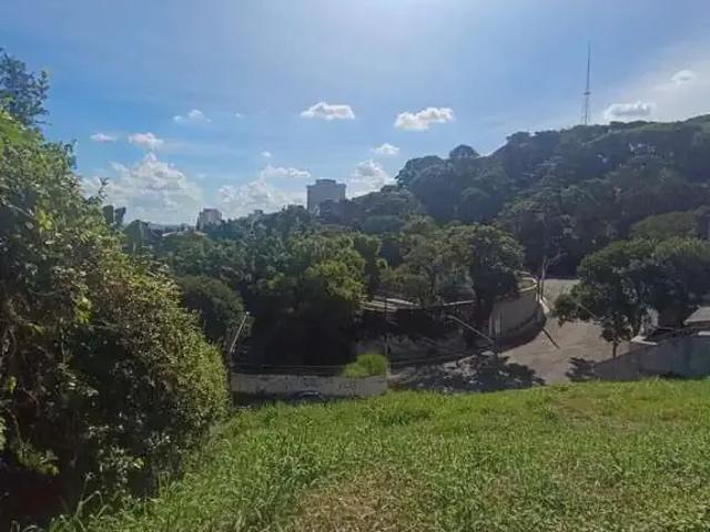 Terreno / Lote para Venda em São Paulo/SP Alto de Pinheiros