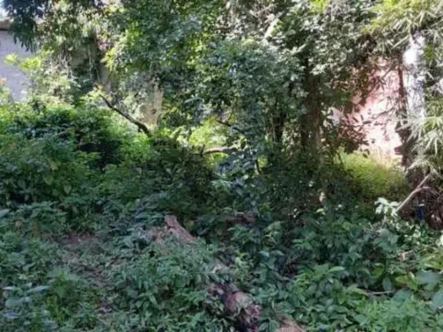 Terreno / Lote para Venda em São Paulo/SP Americanópolis