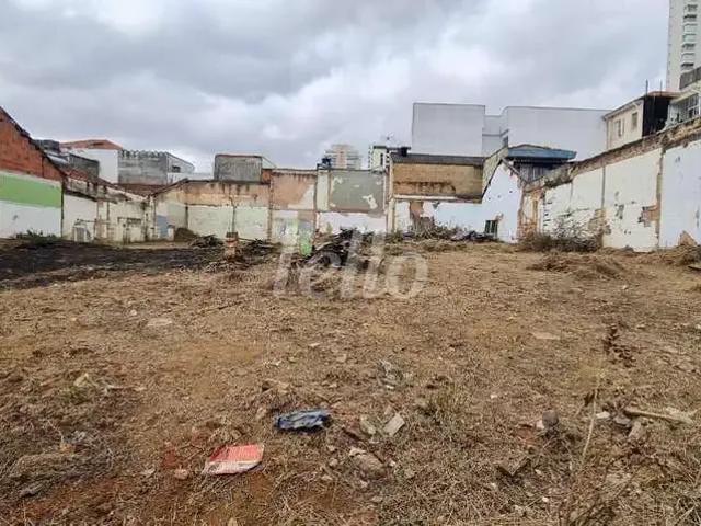 Terreno / Lote para Venda em São Paulo/SP Belenzinho