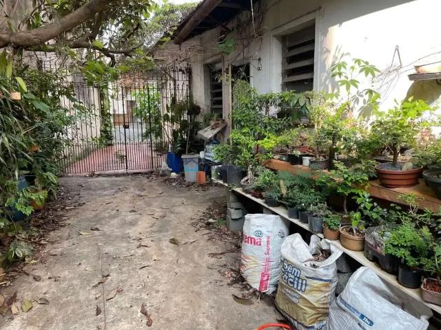 Terreno / Lote para Venda em São Paulo/SP Bosque da Saúde
