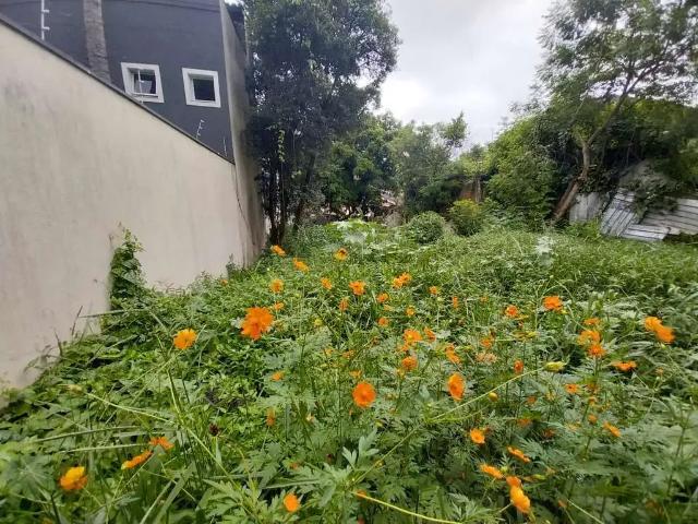 Terreno / Lote para Venda em São Paulo/SP Brooklin