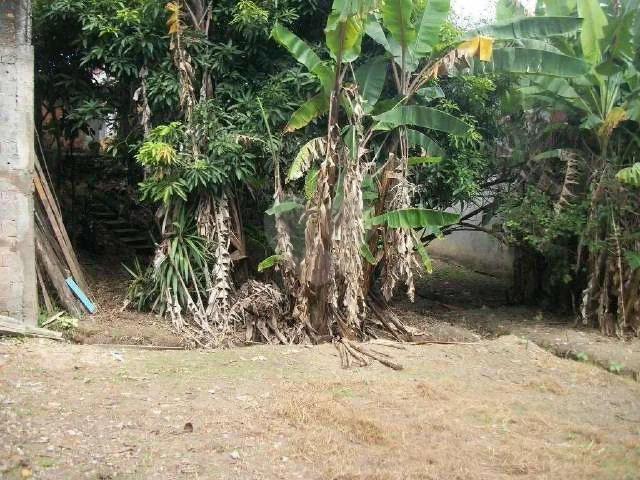 Terreno / Lote para Venda em São Paulo/SP Butantã