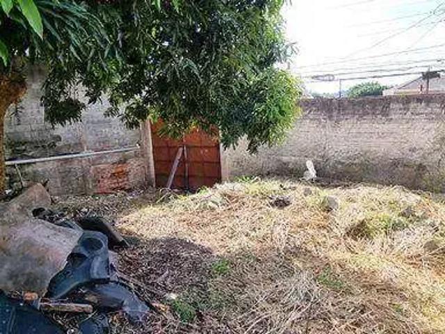 Terreno / Lote para Venda em São Paulo/SP Butantã
