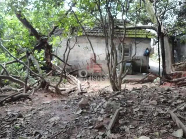 Terreno / Lote para Venda em São Paulo/SP Butantã