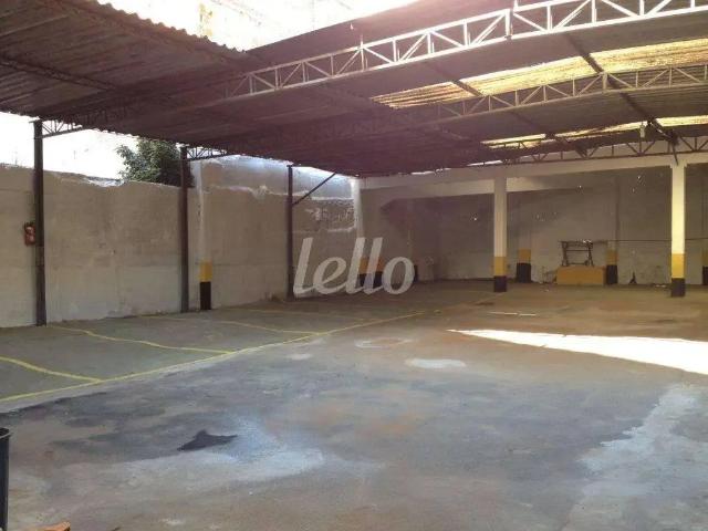 Terreno / Lote para Venda em São Paulo/SP Cambuci