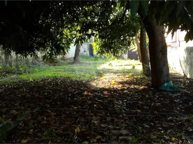 Terreno / Lote para Venda em São Paulo/SP Campo Belo