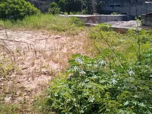 Terreno / Lote para Venda em São Paulo/SP Cangaíba