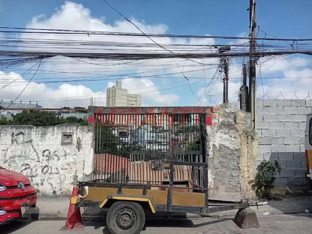 Terreno / Lote para Venda em São Paulo/SP Cachoeirinha