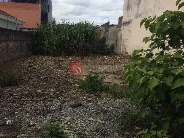 Terreno / Lote para Venda em São Paulo/SP Carrão