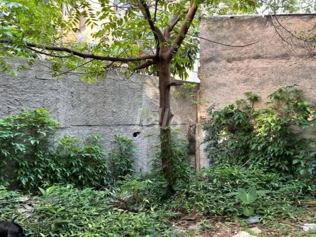 Terreno / Lote para Venda em São Paulo/SP Casa Verde