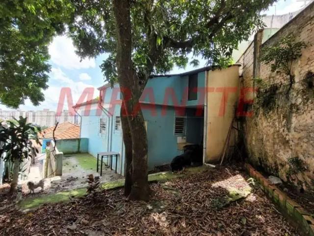 Terreno / Lote para Venda em São Paulo/SP Casa Verde