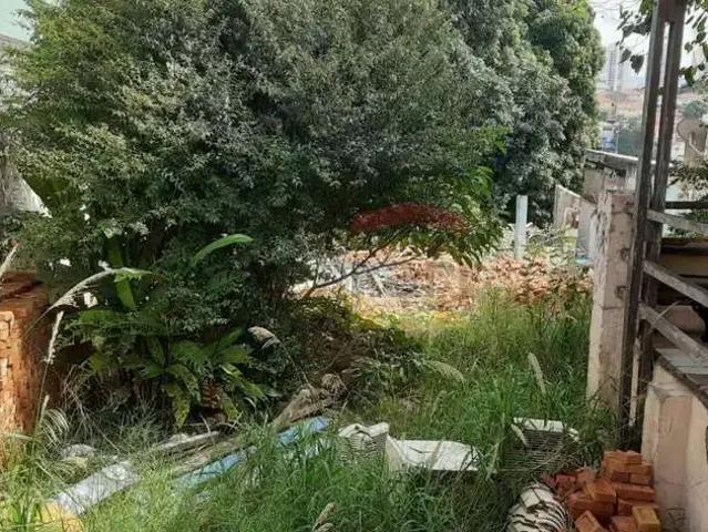 Terreno / Lote para Venda em São Paulo/SP Chora Menino