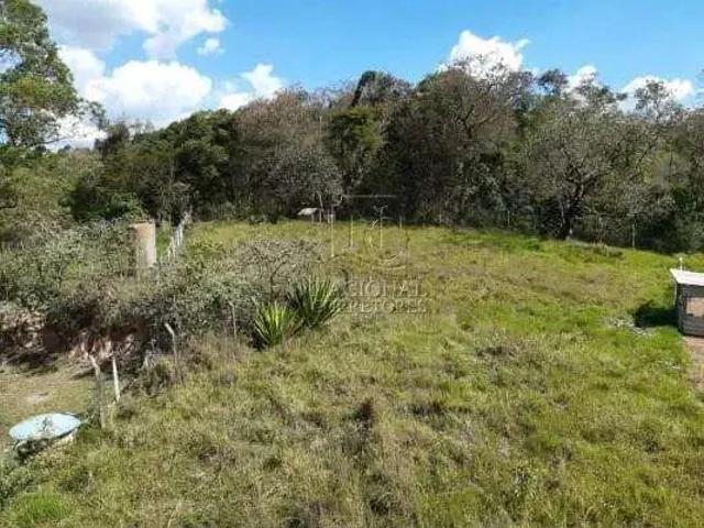 Terreno / Lote para Venda em São Paulo/SP Chácara Maria Trindade