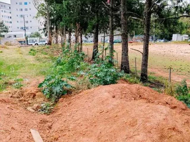 Terreno / Lote para Venda em São Paulo/SP Chácara Maria Trindade