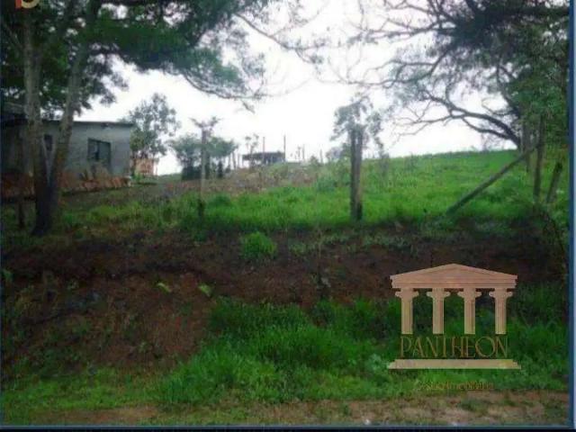 Terreno / Lote para Venda em São Paulo/SP Chácara Maria Trindade