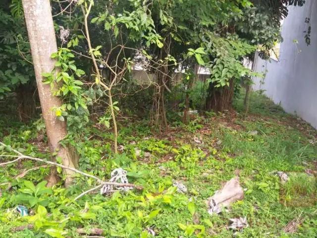 Terreno / Lote para Venda em São Paulo/SP Chácara Monte Alegre