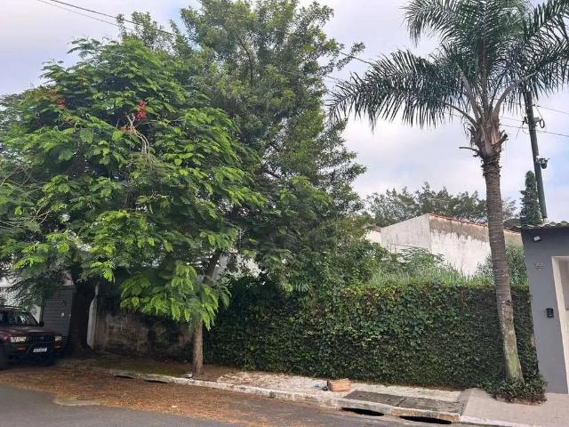 Terreno / Lote para Venda em São Paulo/SP Chácara Monte Alegre