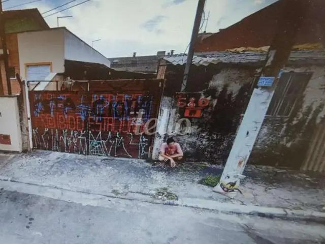 Terreno / Lote para Venda em São Paulo/SP Chácara Belenzinho
