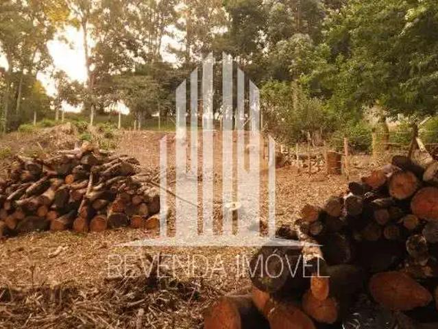 Terreno / Lote para Venda em São Paulo/SP Chácara Jaraguá