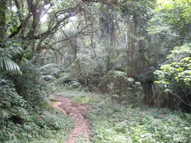 Terreno / Lote para Venda em São Paulo/SP Chácara Vista Alegre